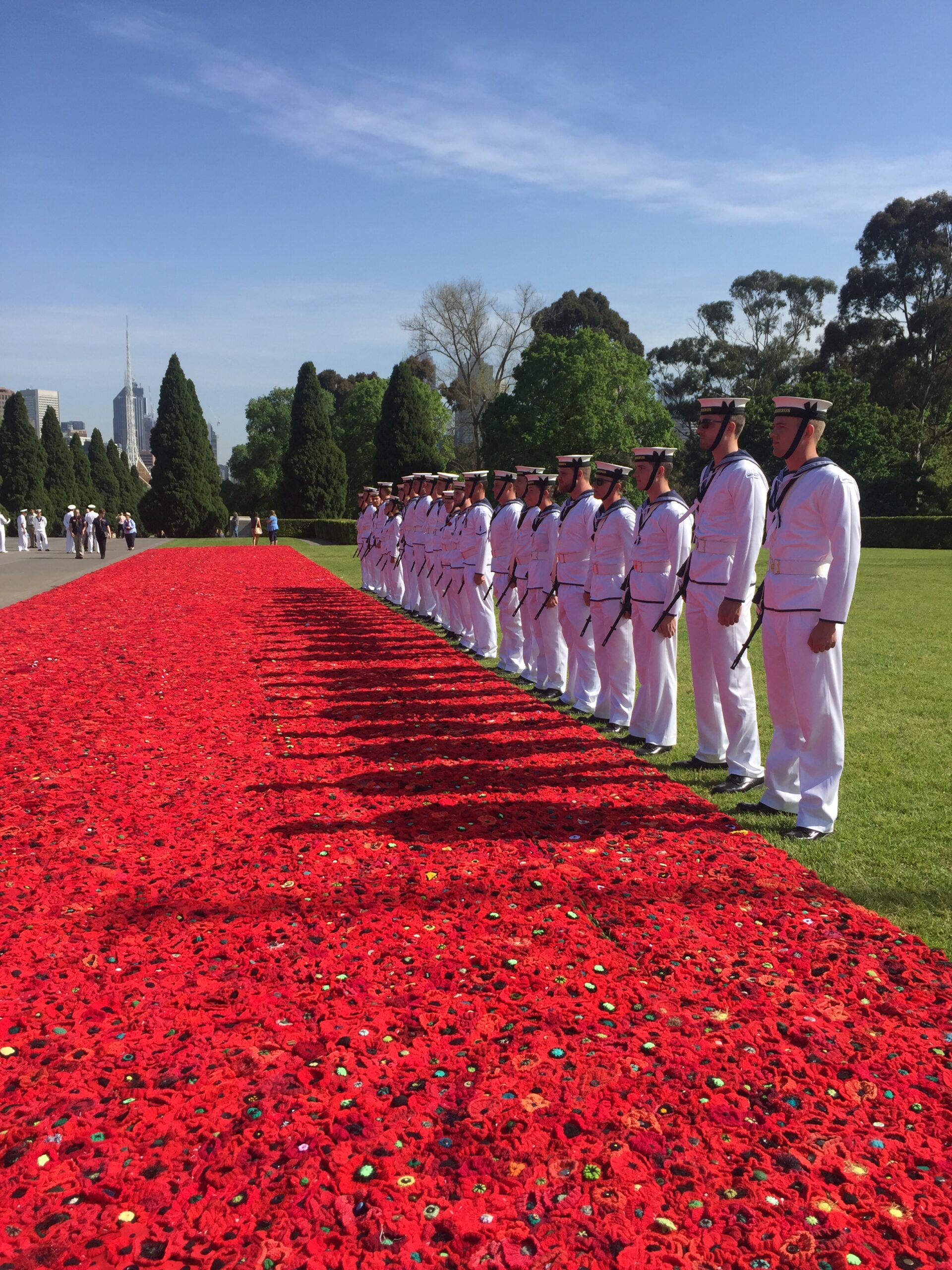 The poppy’s evolution: From simple remembrance to a global symbol of ...