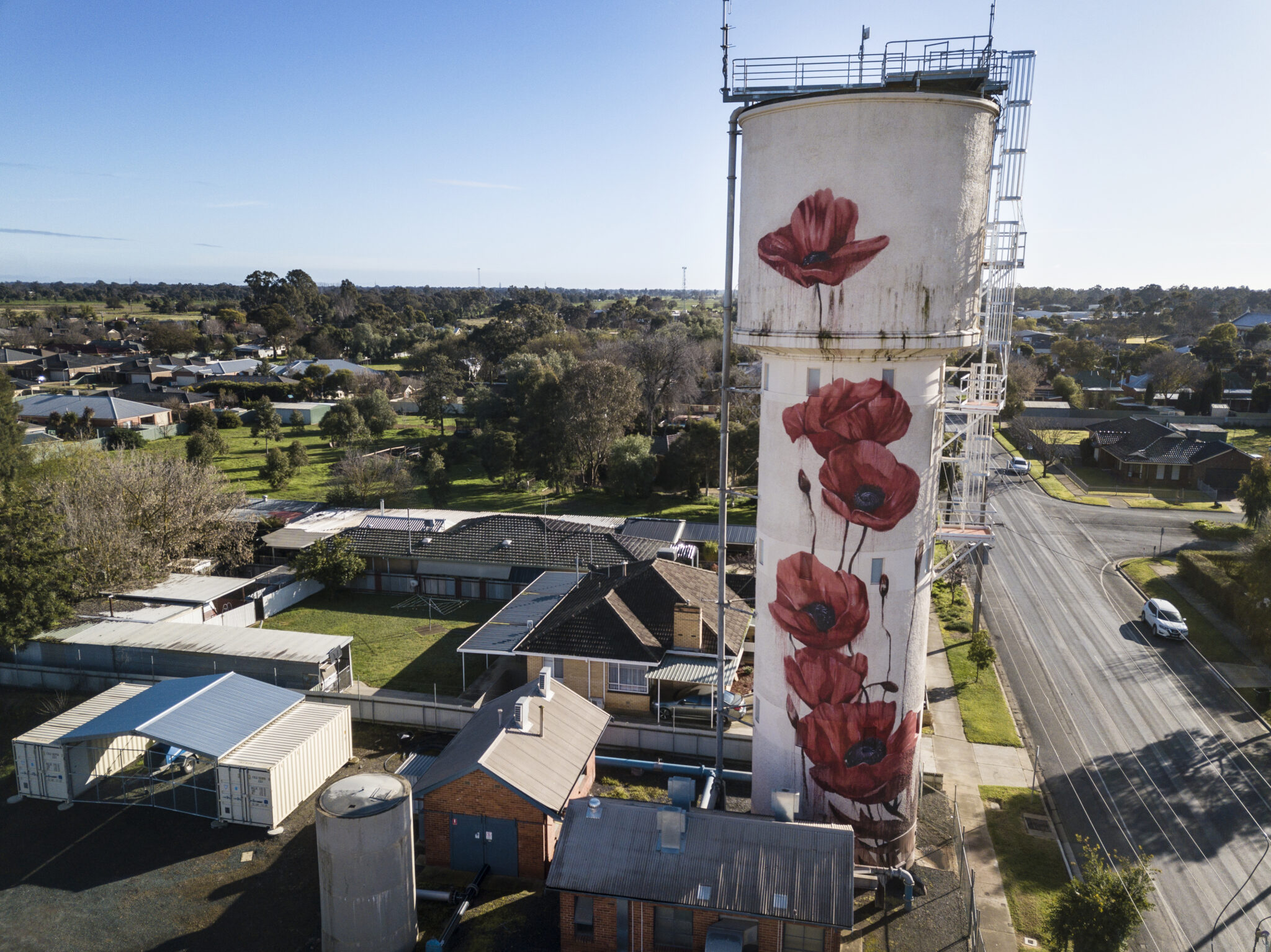 The poppy’s evolution: From simple remembrance to a global symbol of ...